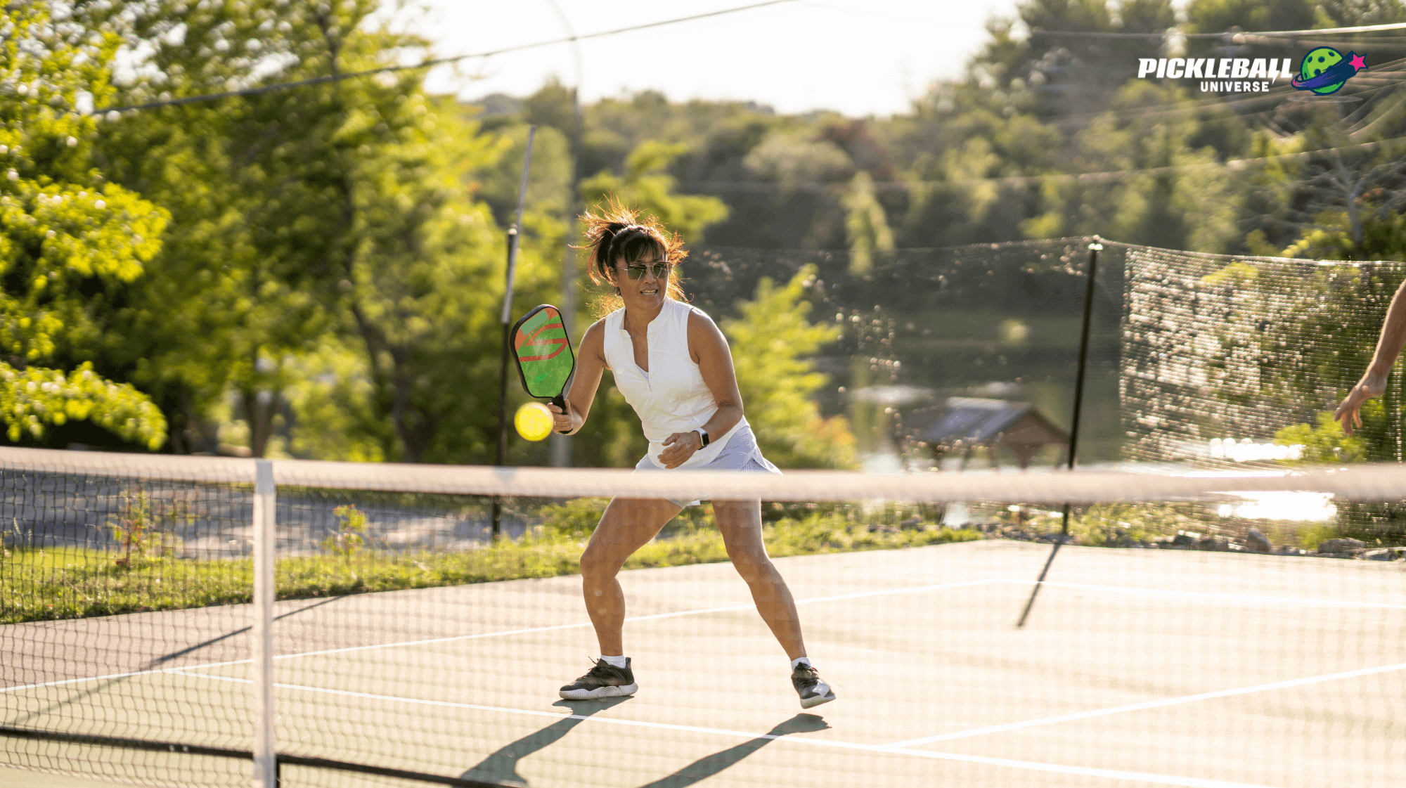 Was Pickleball Named After A Dog Pickleball Universe