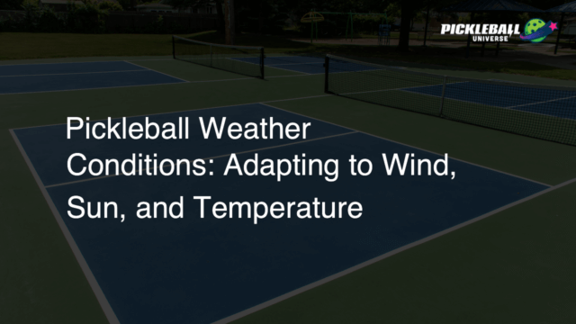 Pickleball Weather Conditions: Adapting to Wind, Sun, and Temperature ...